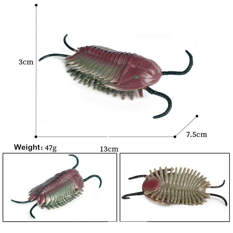 Centipede Trilobita Figure Animal Model Collector ... – Grandado