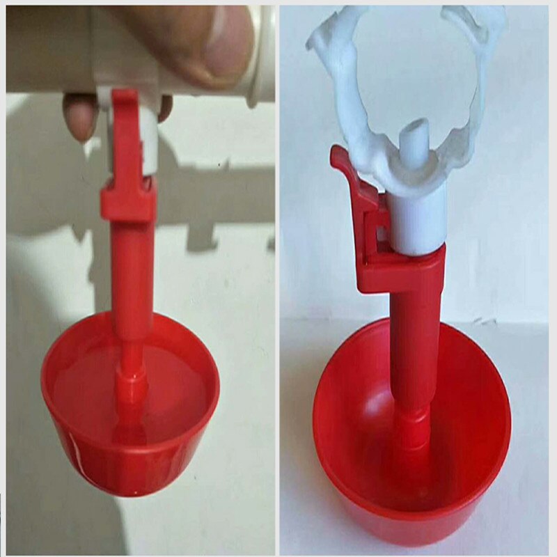 Extra Dikke Duif Water Feeder Automatische Fontein... – Vicedeal