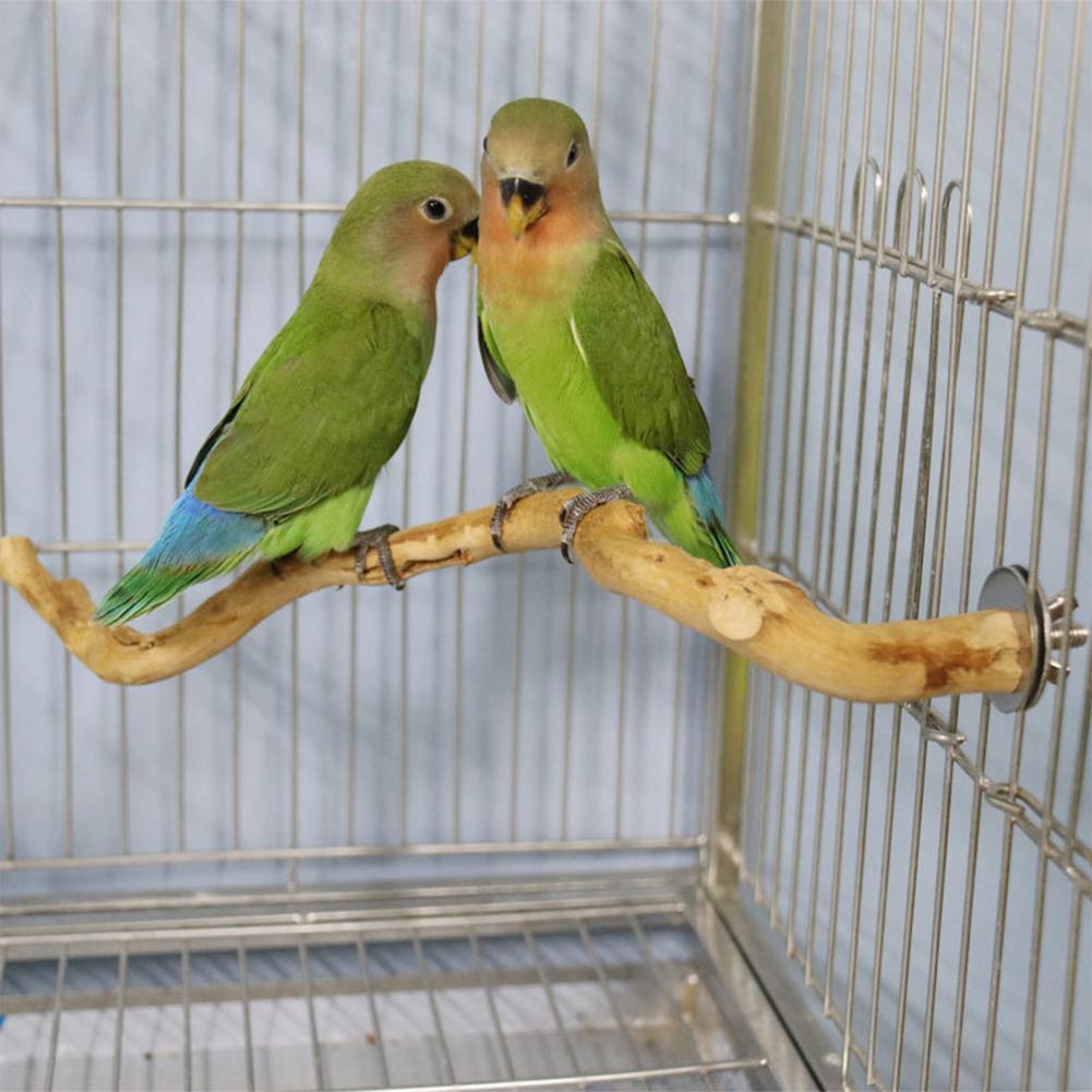 Pet Parrot Bird Standing Stick Wood Pole Parrot To... – Grandado