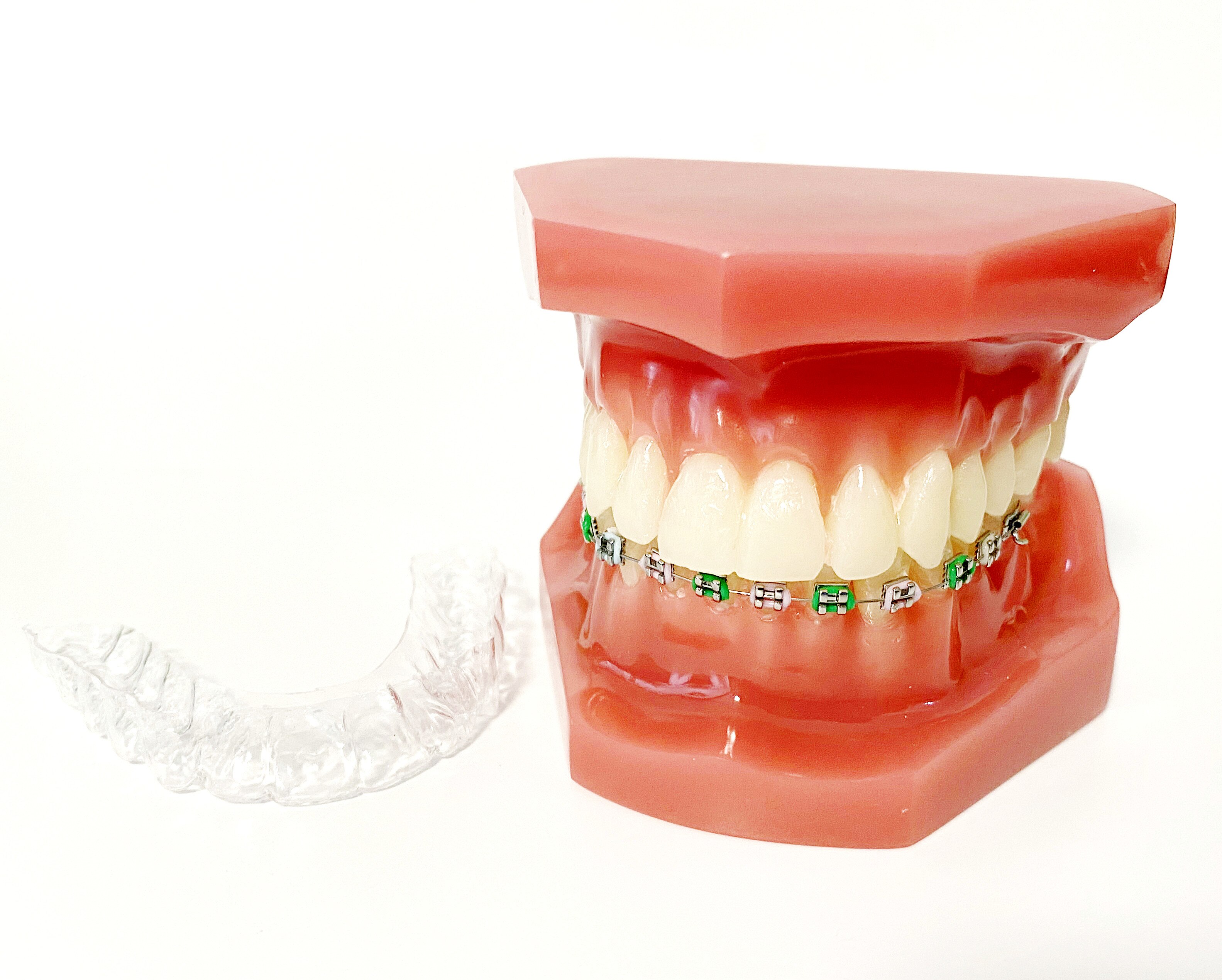 1Pcs Dental Study Model Onzichtbare Retainer Metal... – Vicedeal