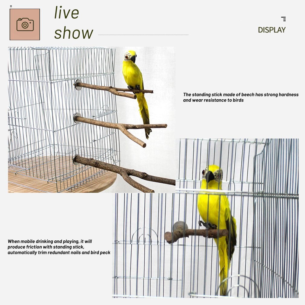 Parrot Rest Bar Parrot Claw Sharpening Stick Bird ... – Grandado