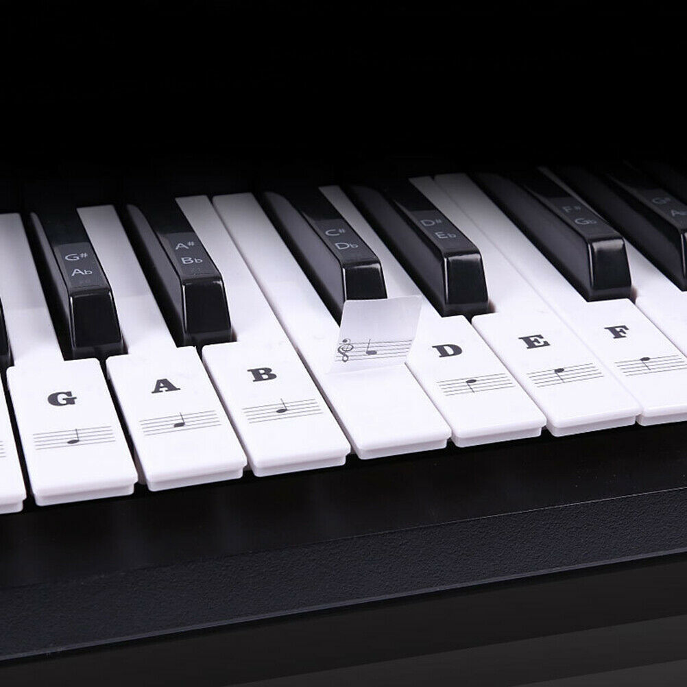 5 in 1 Universal Piano Sticker 37/49/54/61/88Key N... – Grandado