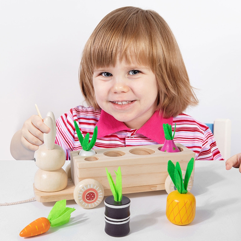 Wooden Carrots Harvest Matching Shape Table Educat... – Vicedeal