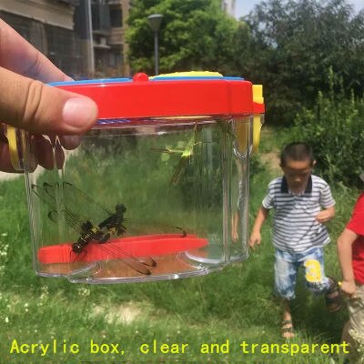 Insect observation box children outdoor insect col... – Grandado