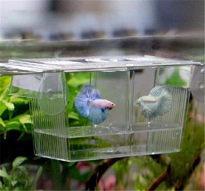Large Fish Breeding Boxes Double Guppies Hatching ... – Vicedeal