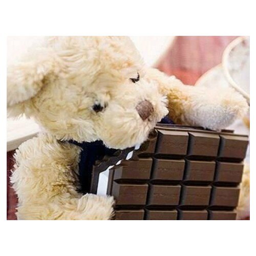 Chocolate Scented Notepad – Vicedeal