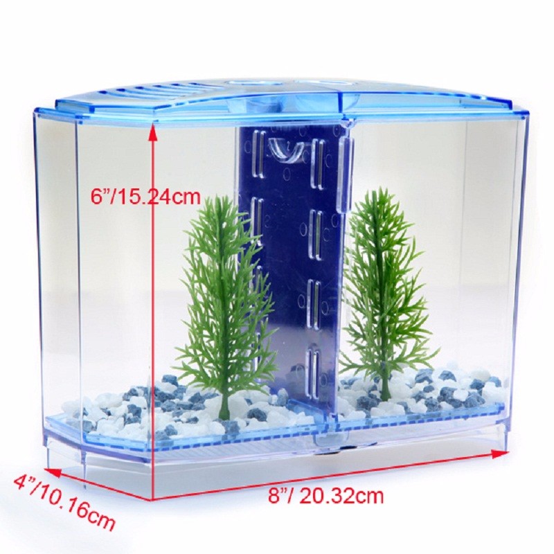 Acrylic Aquarium Betta Fish Tank Mini Incubator Fi... – Grandado