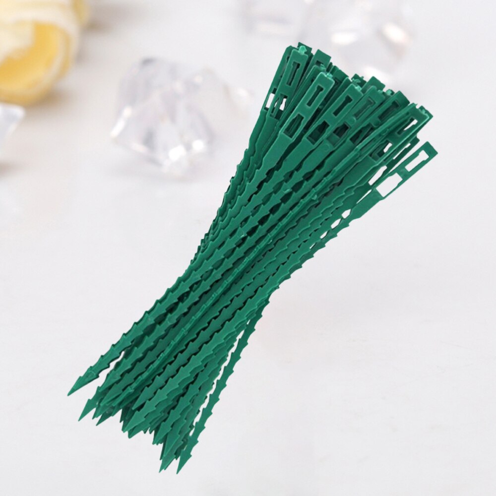 100PCS Plant Cable Ties Vine Climbing Fixed Buckle... – Grandado