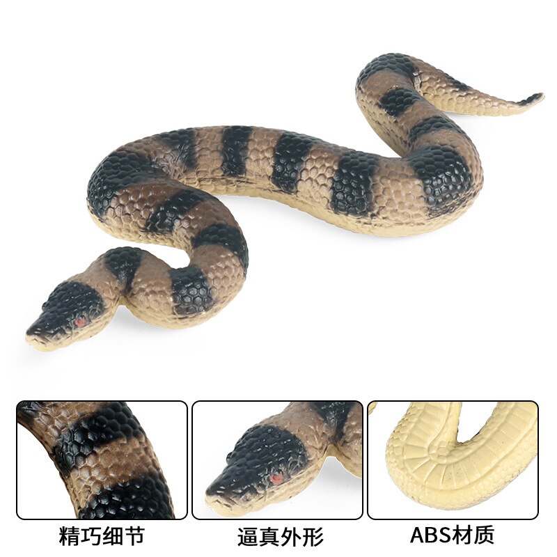 Jouets délicats de Simulation de reptiles amphibie... – Grandado