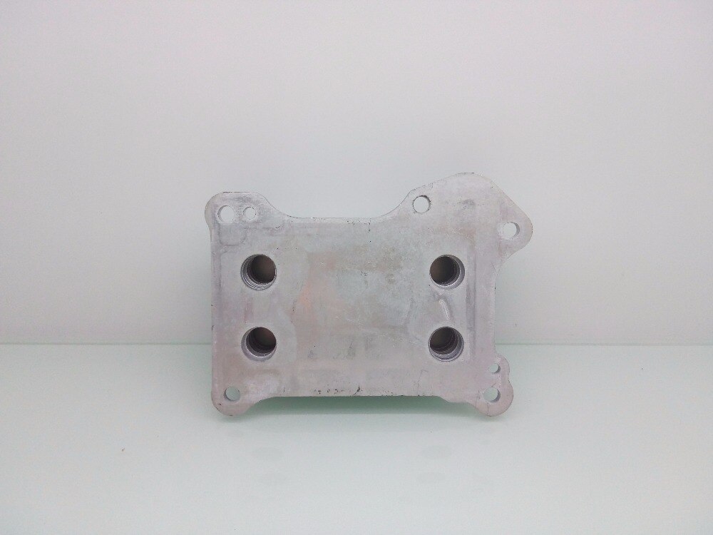 Enfriador de motor para Opel/FIAT OEM 5650355, 551... – Grandado