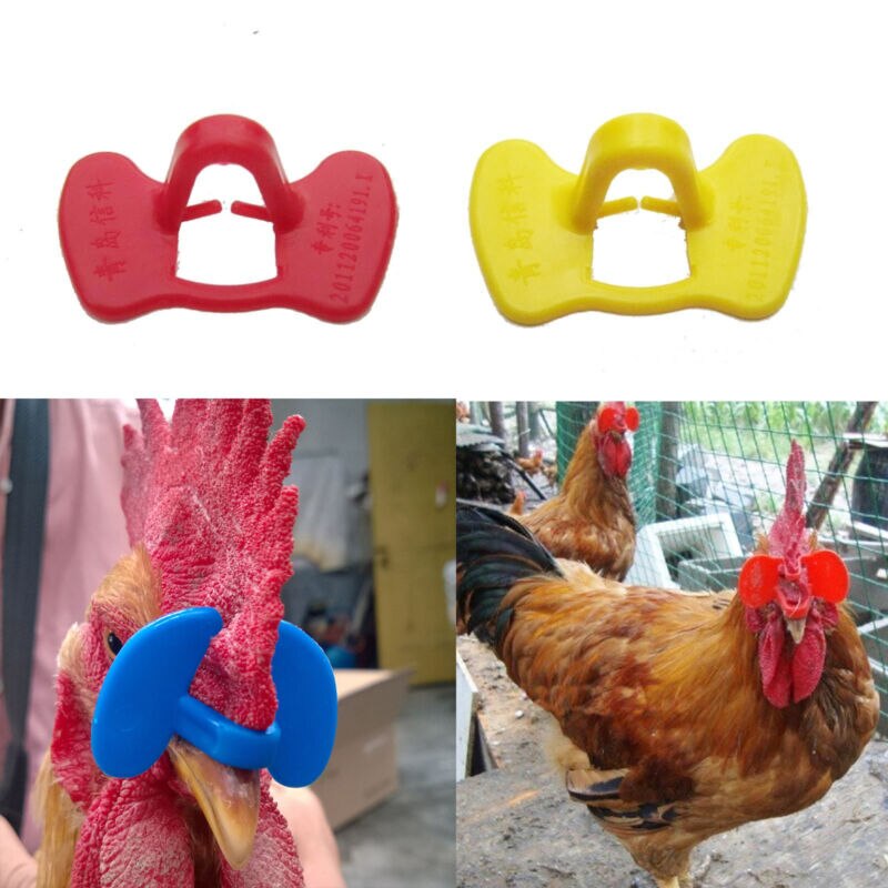 10/100pcs chicken farming equipment plastic boltle... – Grandado