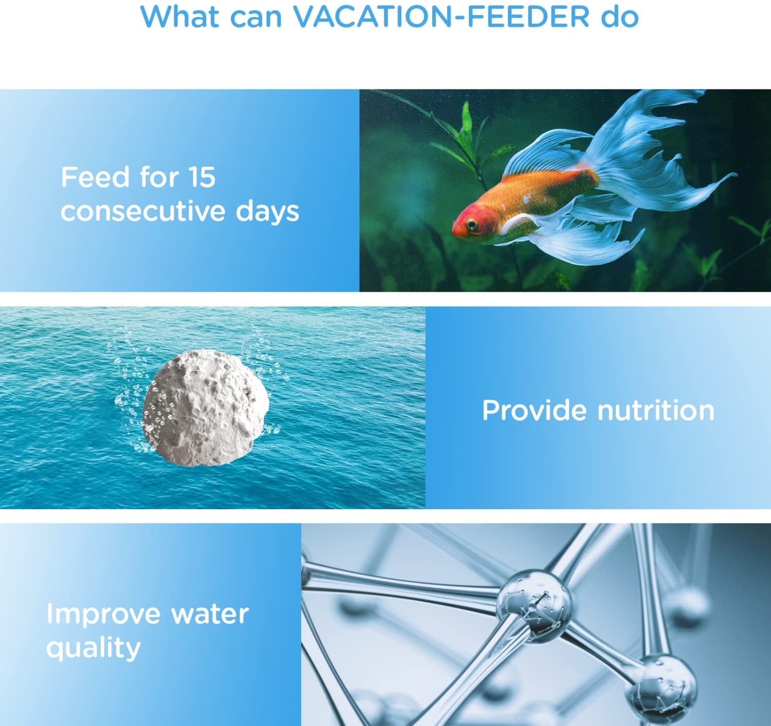 Mascotaland calcium block for large natural turtle... – Vicedeal