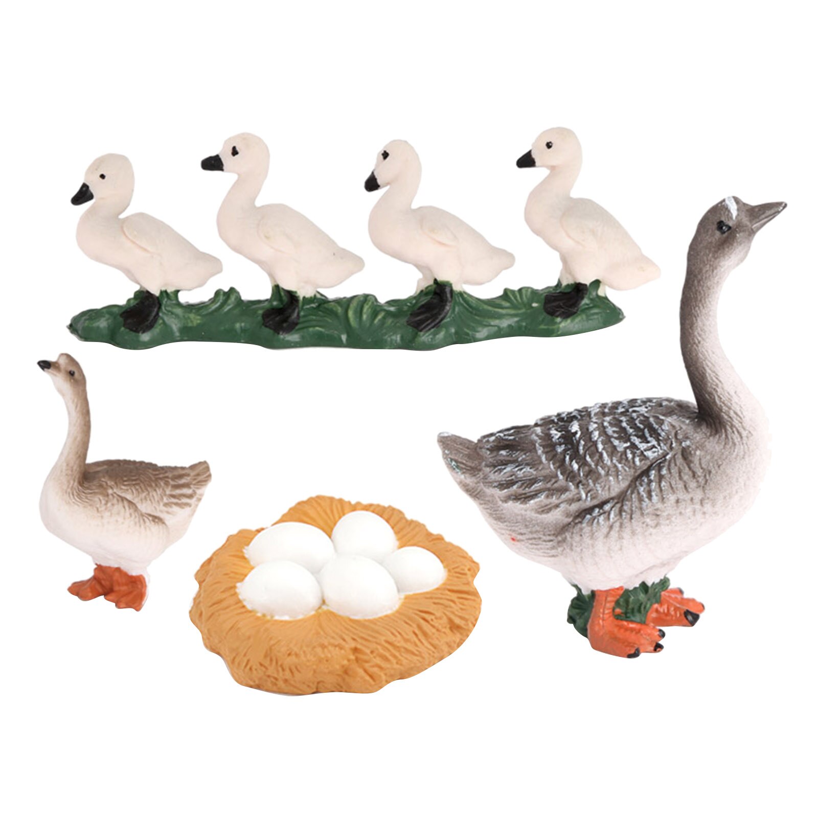 Realistic Growth Cycle Toys Nature Life Animals Cy... – Grandado