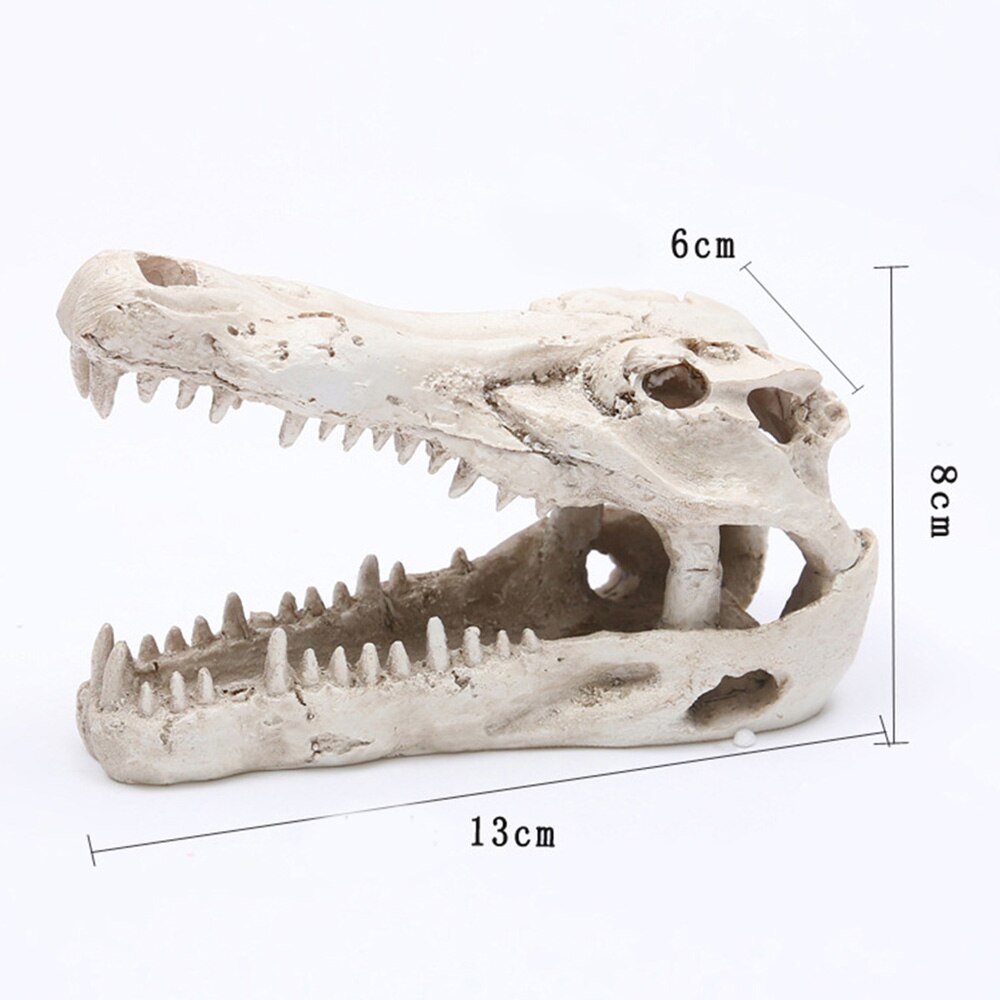 Harpiks simulering hoved knogle kraniet form terra... – Grandado