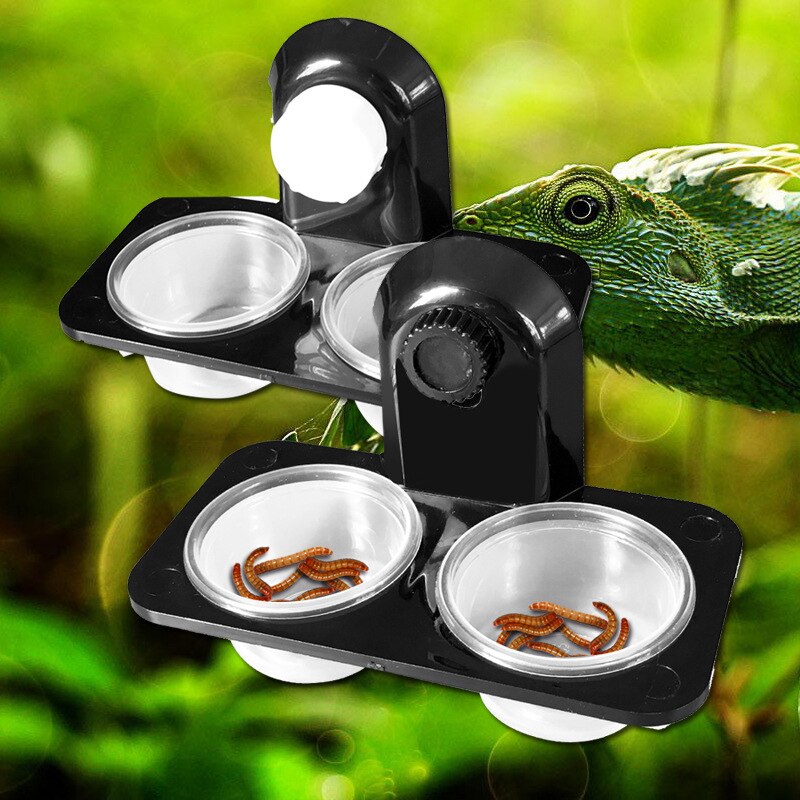 Reptile Dual Purpose Water Basin Food Basin Insect... – Grandado