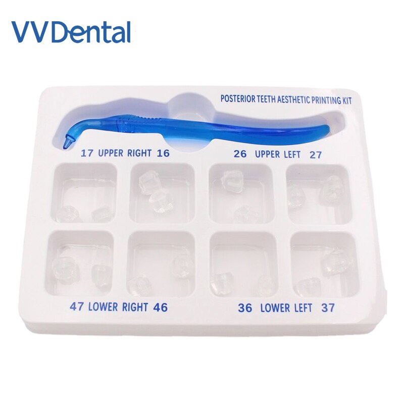 1 Set Dental Posterior Teeth Aesthetic Printing Se... – Grandado