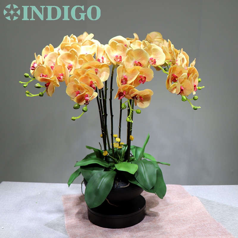 INDIGO - 3D Printing Petals Phalaenopsis White Orc... – Vicedeal
