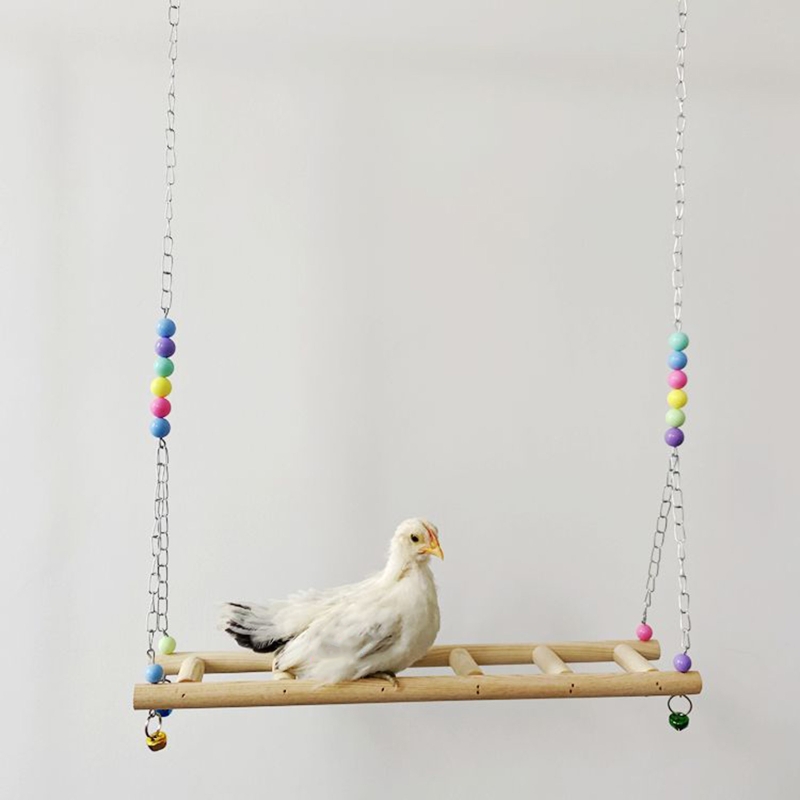Chicken Ladder Swing Perch Wood Hanging Stand Hand... – Grandado