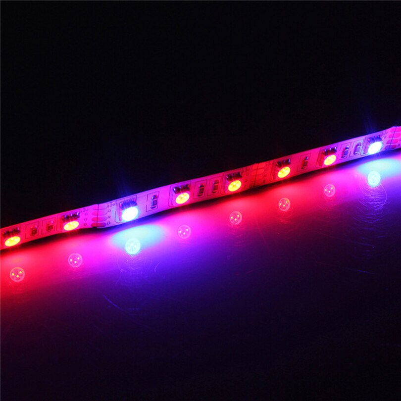 DC 12V LED Grow Tape Lights SMD 5050 1m 2m 3m 4m 5... – Grandado