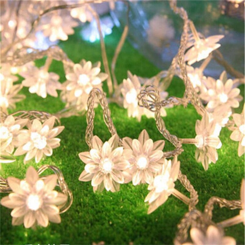 Fairy 7.5m 50LED lotus flower Led string garland l... – Vicedeal