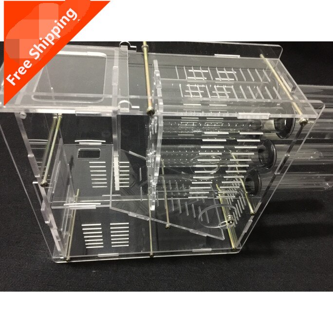 Glass Tube Ant Nest Full Transparent Ant House For... – Grandado