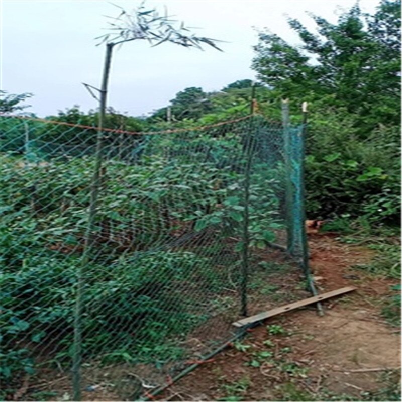Families and farms breeding net Orchard bird net G... – Grandado