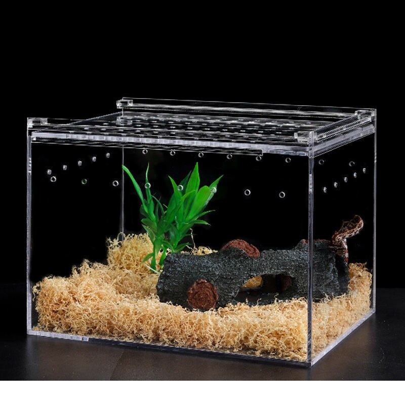 Reptiel Tank Spiders Hagedis Acryl Transparante Fo... – Grandado