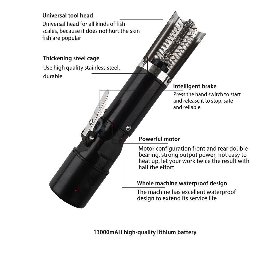 110V/220v Charging Electric Fish Scaler Fishing Sc... – Grandado