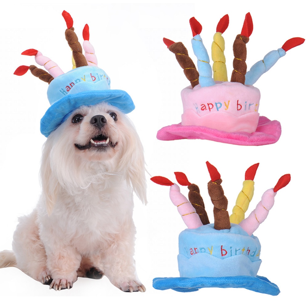 Cute Dog Pet Hat Beanies Hat with Birthday Cake Ca... – Grandado