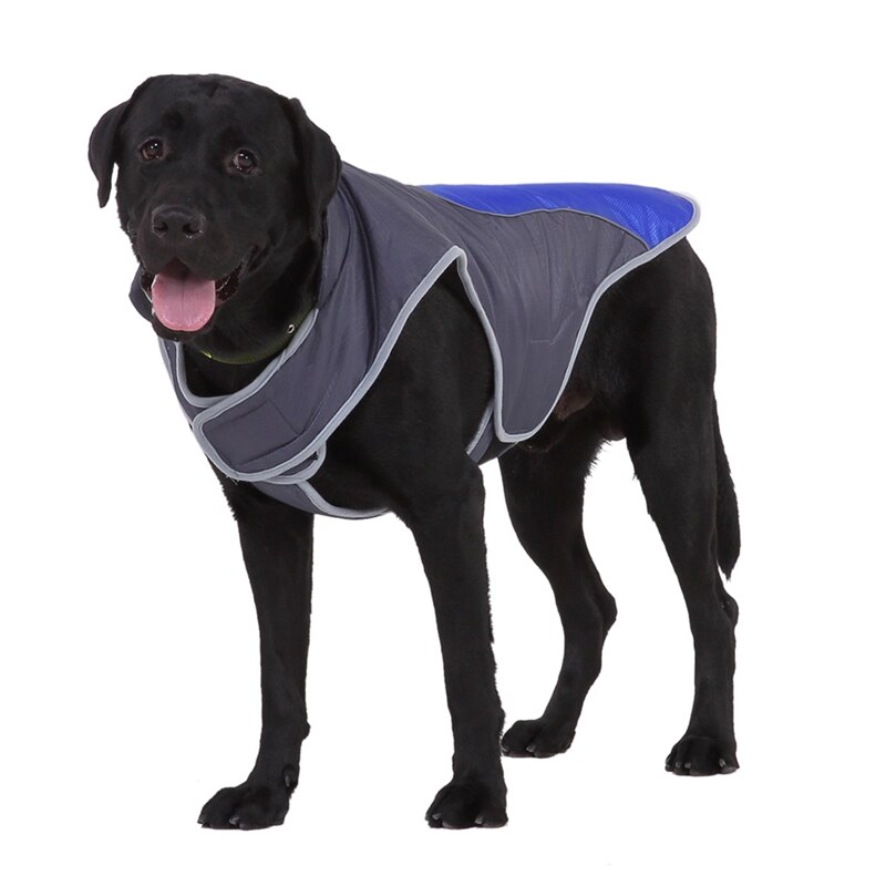 Waterproof Dog Clothes Big Dog Patch-work Jacket F... – Vicedeal