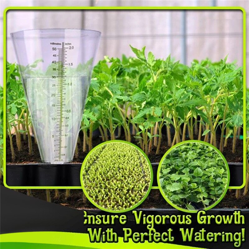 Conical Rain Meter Gauge Plastic Transparent Measu... – Vicedeal