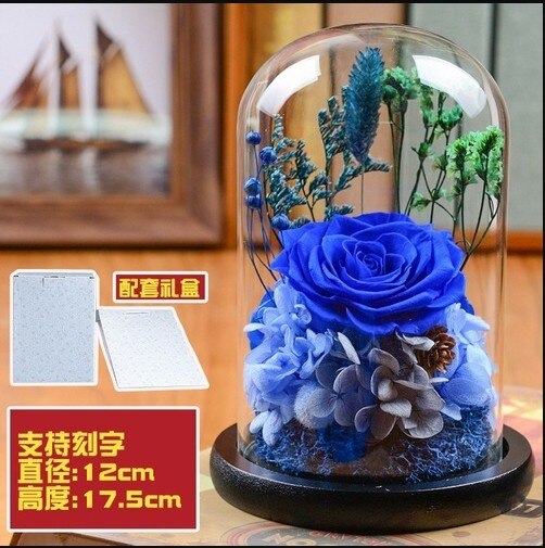 Tabletop Display Glass Dome Cloche Cover Decor Dry... – Vicedeal