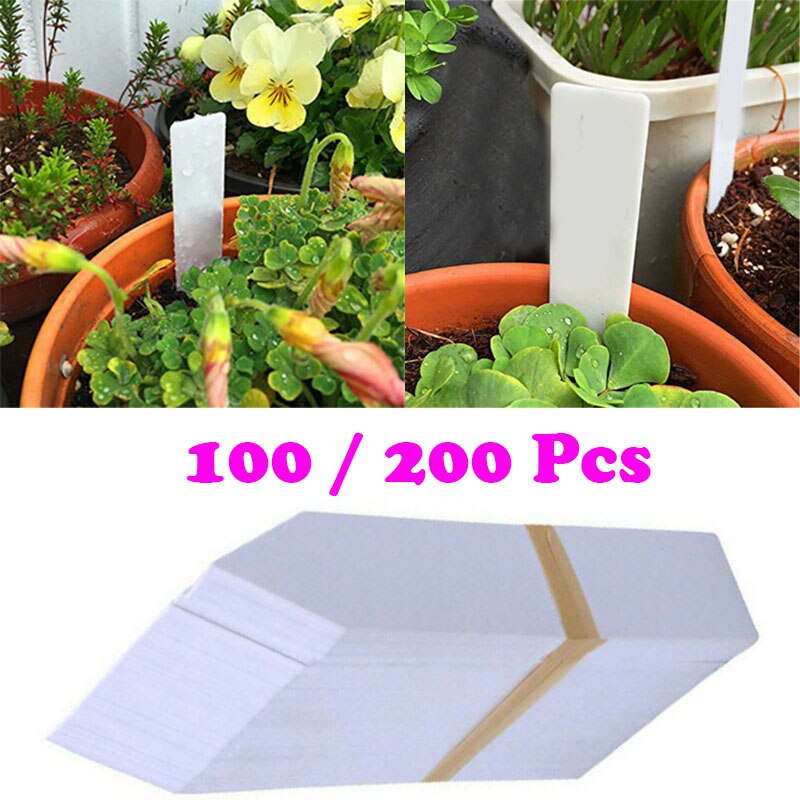 100/200Pcs Plant Tags Garden Plant Labels Nursery ... – Vicedeal