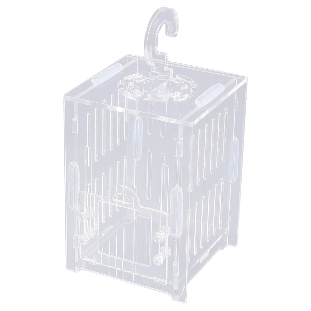 Insect House Bug Box Transparent Insect Cage Grass... – Vicedeal