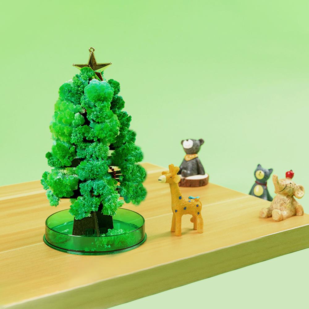 Magic Plants Growing Christmas Tree DIY Magic Grow... – Grandado