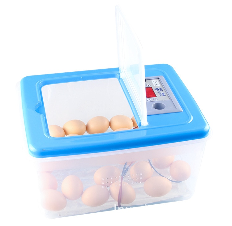 Mini 32 Egg Incubator Poultry Incubator Brooder Di... – Vicedeal