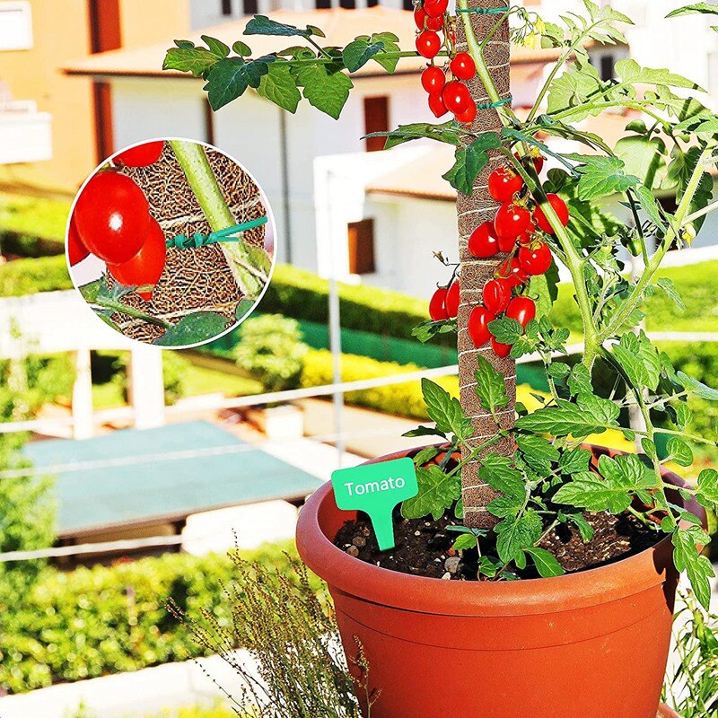 120 Pcs Moss Poles Set - 3Pcs 16Inch Coir Totem Po... – Vicedeal