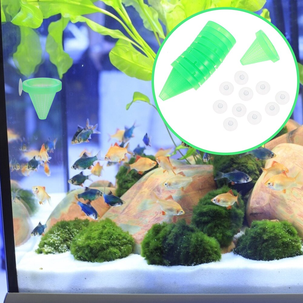 10 PCS Aquarium Food Container with Sucker Red Wor... – Grandado