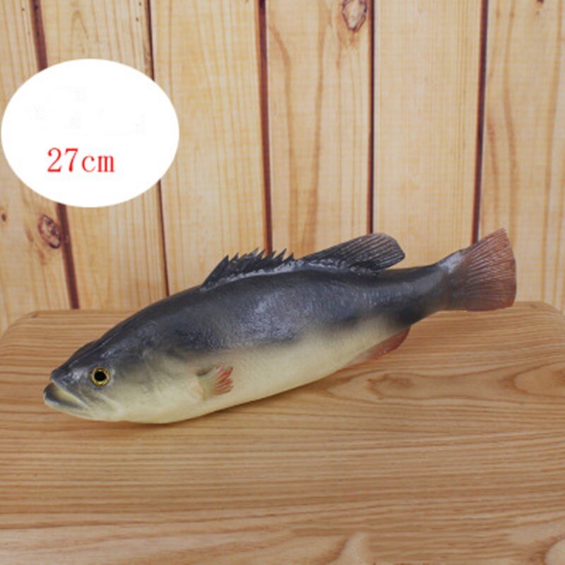 Freshwater Sea Life Animals Simulation Coelacanth ... – Grandado