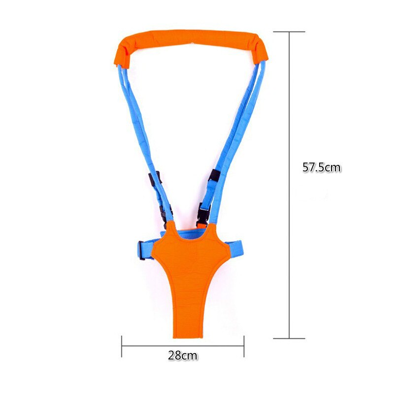 Baby Learning Walking Assistant Moon Baby Walkers ... – Grandado