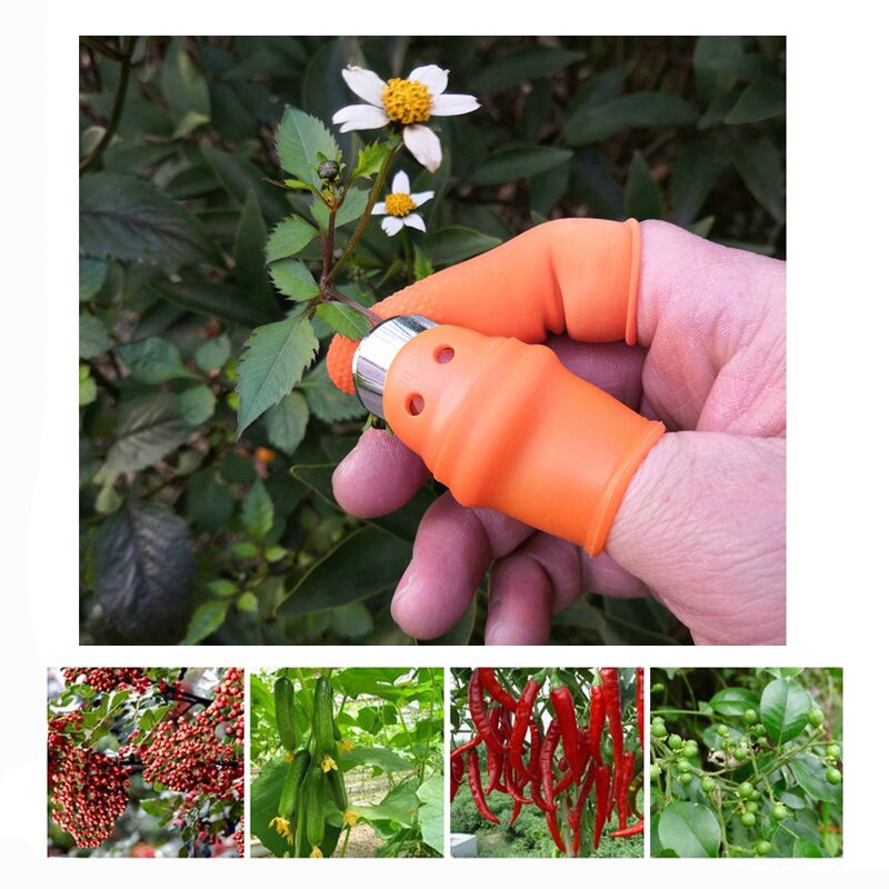 Groente Picking Artefact Siliconen Duim Mes Vinger... – Grandado