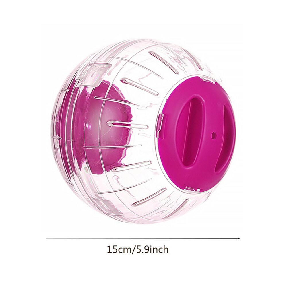 Plastic Outdoor Sport Ball Grounder Rat Small Pet ... – Grandado