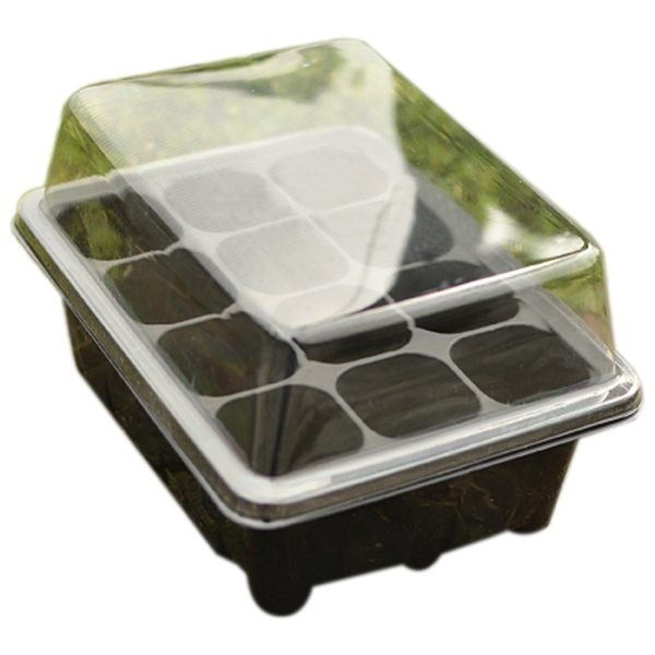 Germination Seed Starter Tray Seed Box Flower Plan... – Grandado