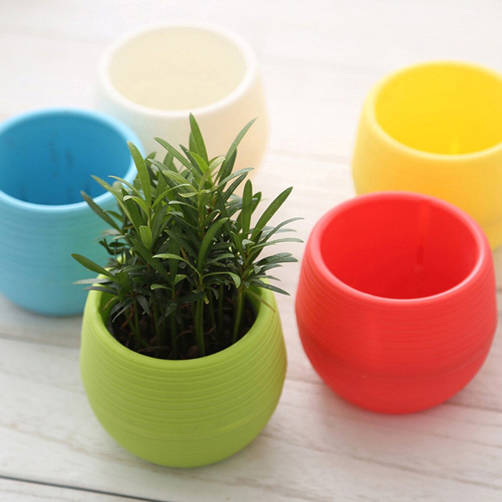1PC Mini Flower Pots Colourful Round Plastic Plant... – Grandado