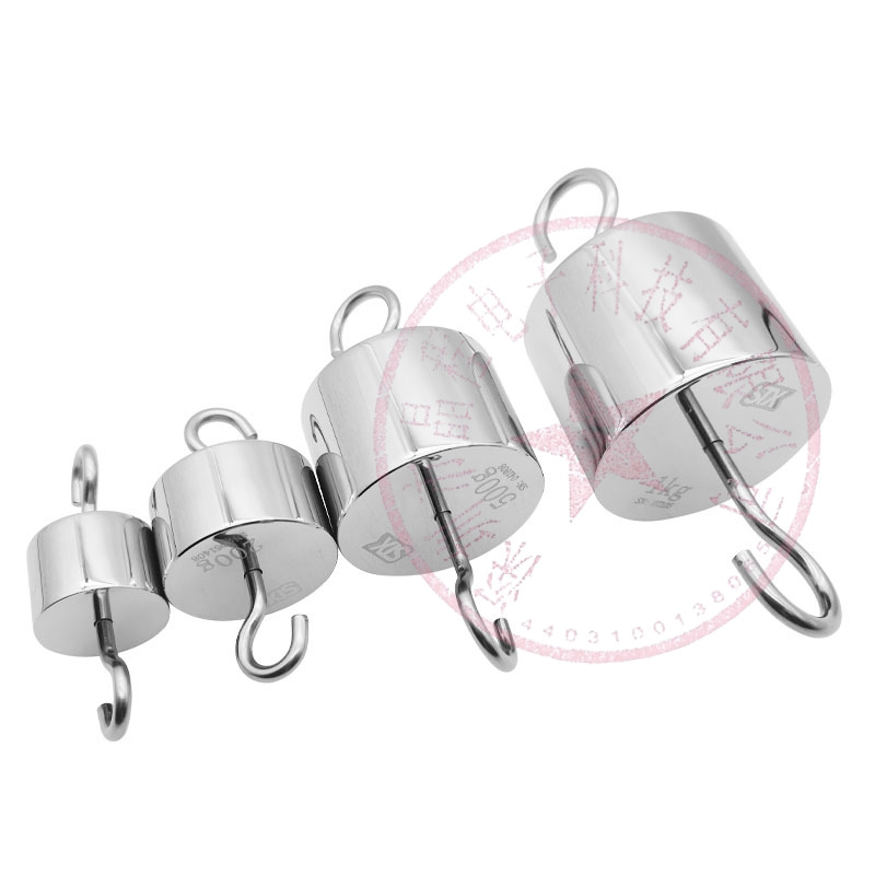 M1 Double Hook Weight 10g-2kg Standard Counterweig... – Grandado