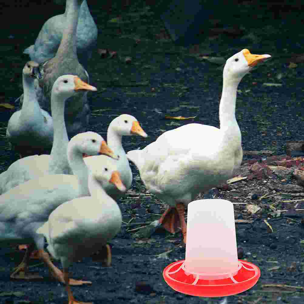 Kip Feeder Kit Chicky Opknoping Food Dispenser Dis... – Vicedeal