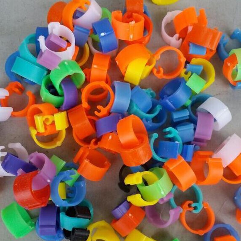 Universal bantam sett 100x luke kylling høne due k... – Vicedeal