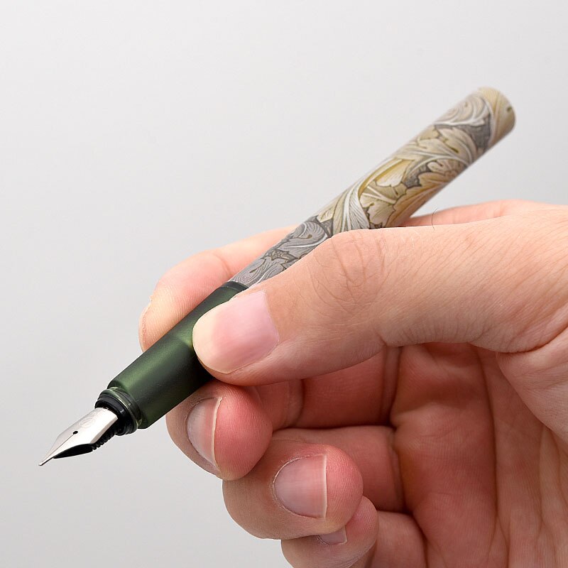 Andstal KACOxV&A Museum SKY EF Nib Fountain Pen 0.... – Grandado