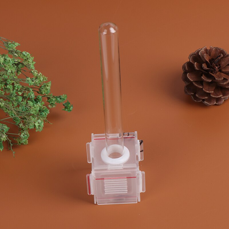 4x4x4cm Clear Glass Tube Ant Water Feeder With Act... – Vicedeal