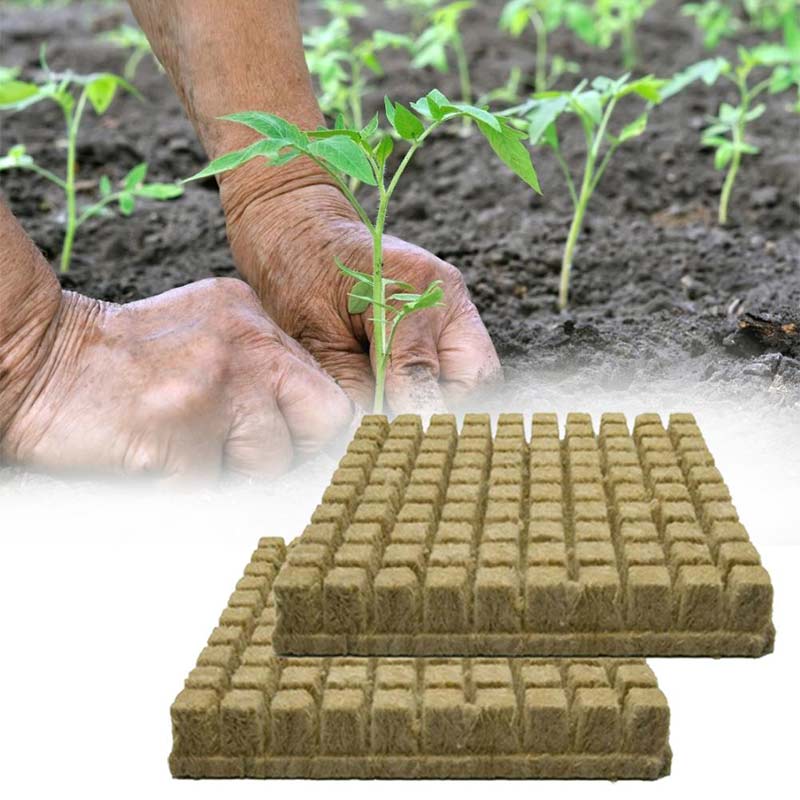 50/100pcs Rockwool Sheet Block Propagation Cloning... – Grandado